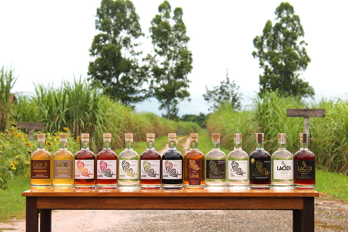 LAODI - Bacchus Global